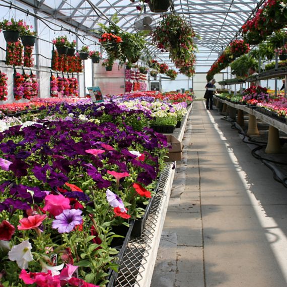 Shopping & Retail - Faribault, MN Tourism