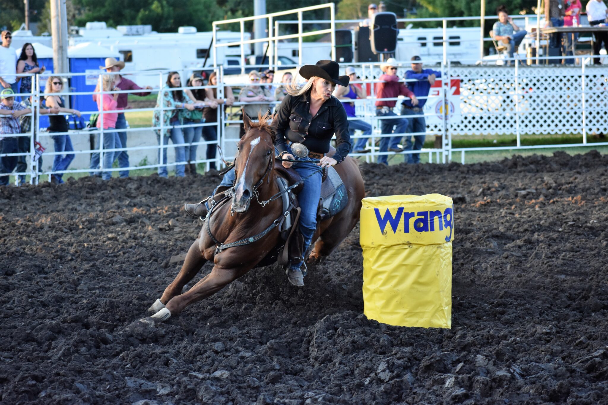 Rice County Fair Fun in Faribault - Visit Faribault Minnesota